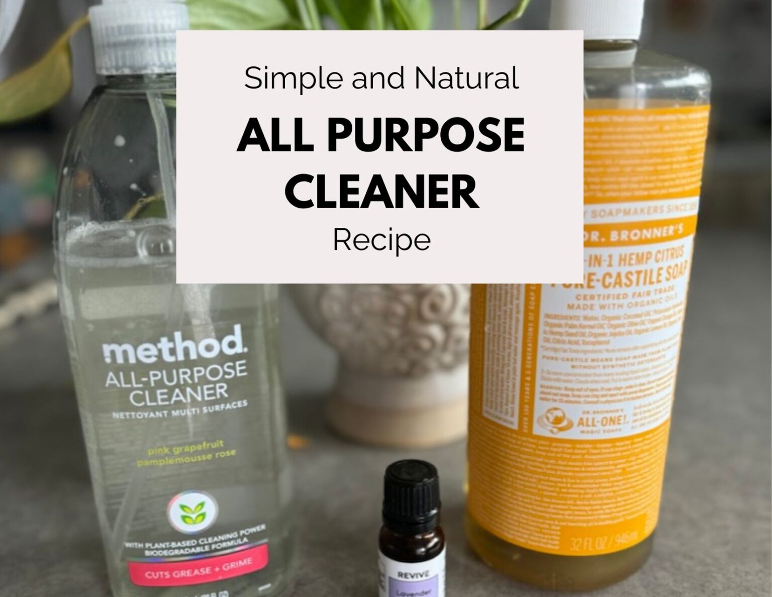 DIY Natural All-Purpose Cleaner Recipe- Simple and budget friendly ...